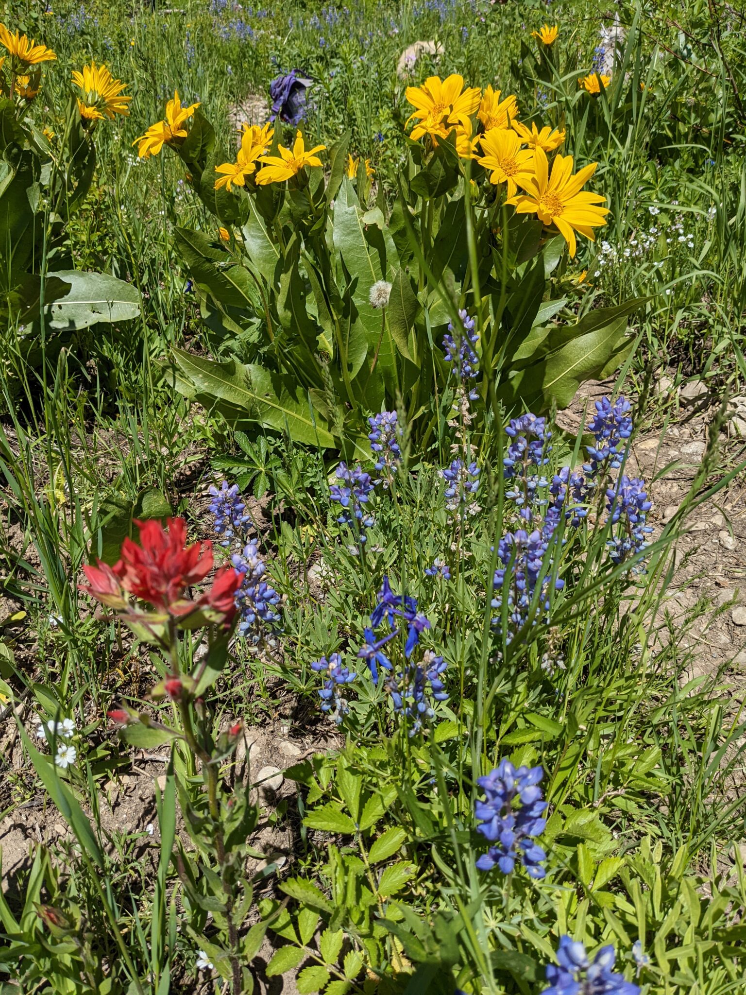 Leaf-Peeper Jackpot: – Race Winners Get A Share of The Race Fees