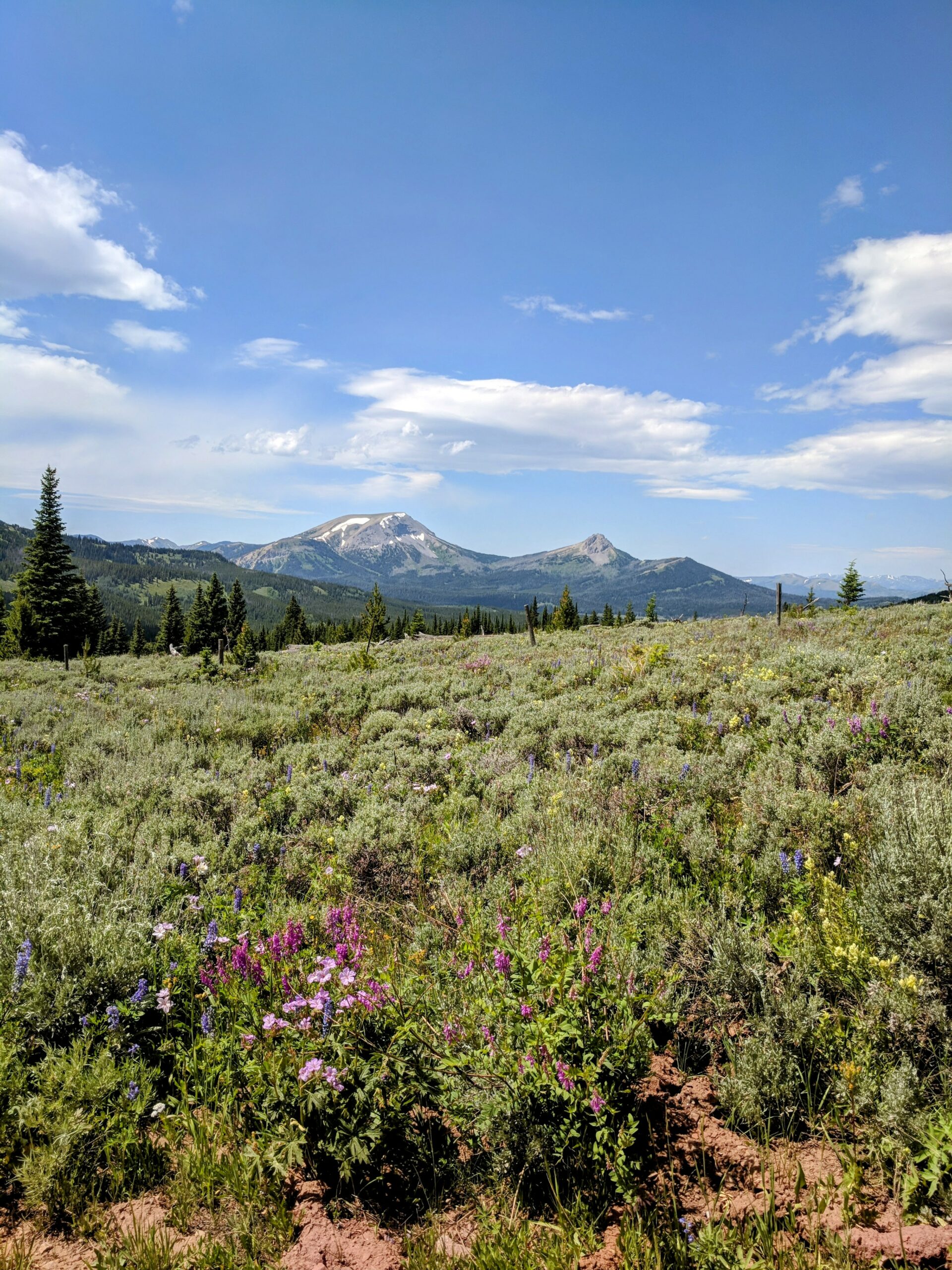 Race Winners Get A Share of The Race Fees