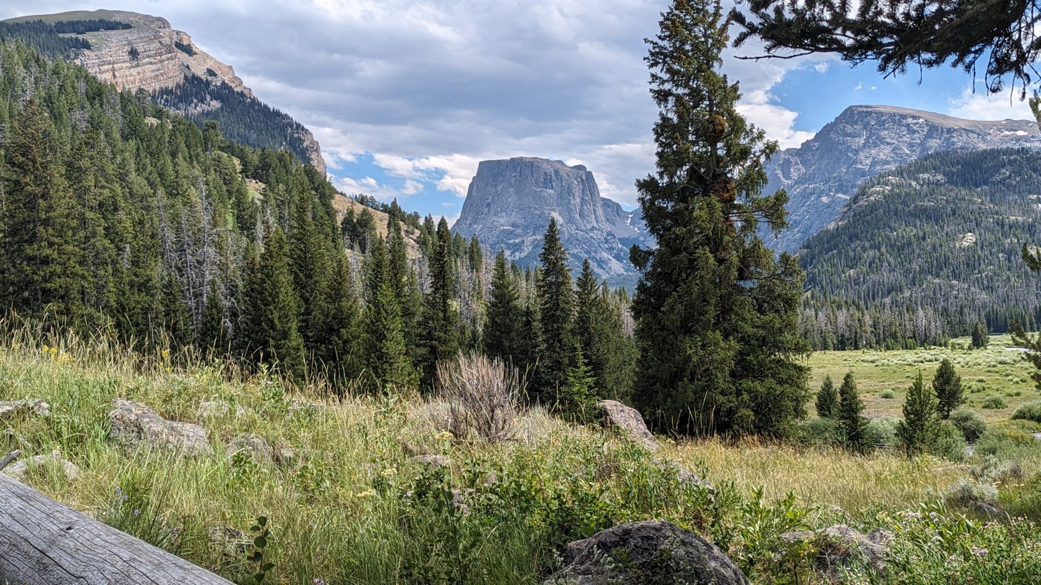 Leaf-Peeper Jackpot: – Race Winners Get A Share of The Race Fees